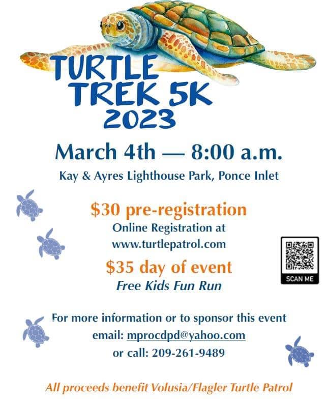 They're Here! First Turtle of the Season On Flagler's Beaches - Flagler ...