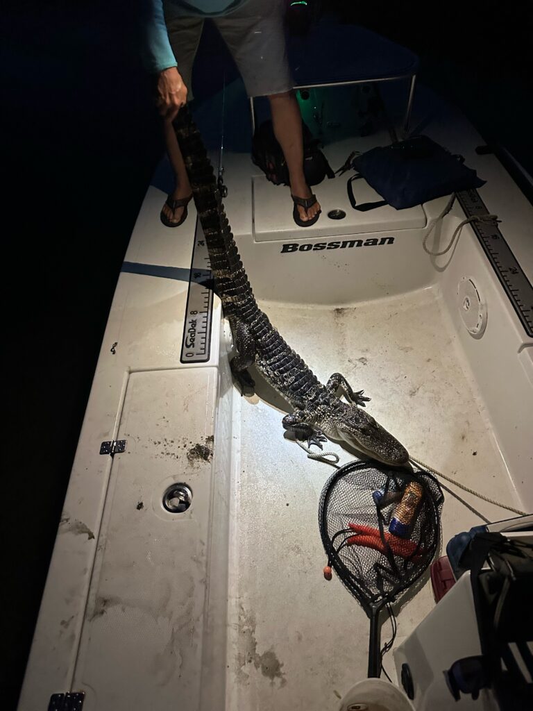 Friday Fishin' Report with Captain Adam Morley - The Florida Man ...