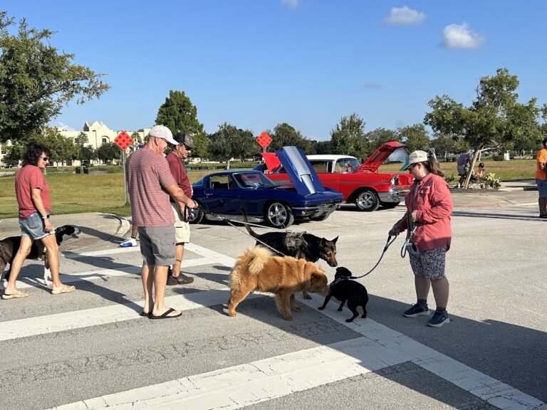 Cruis’n 4 Paws: Classic Cars and SMART Dogs Make the Perfect Pair ...