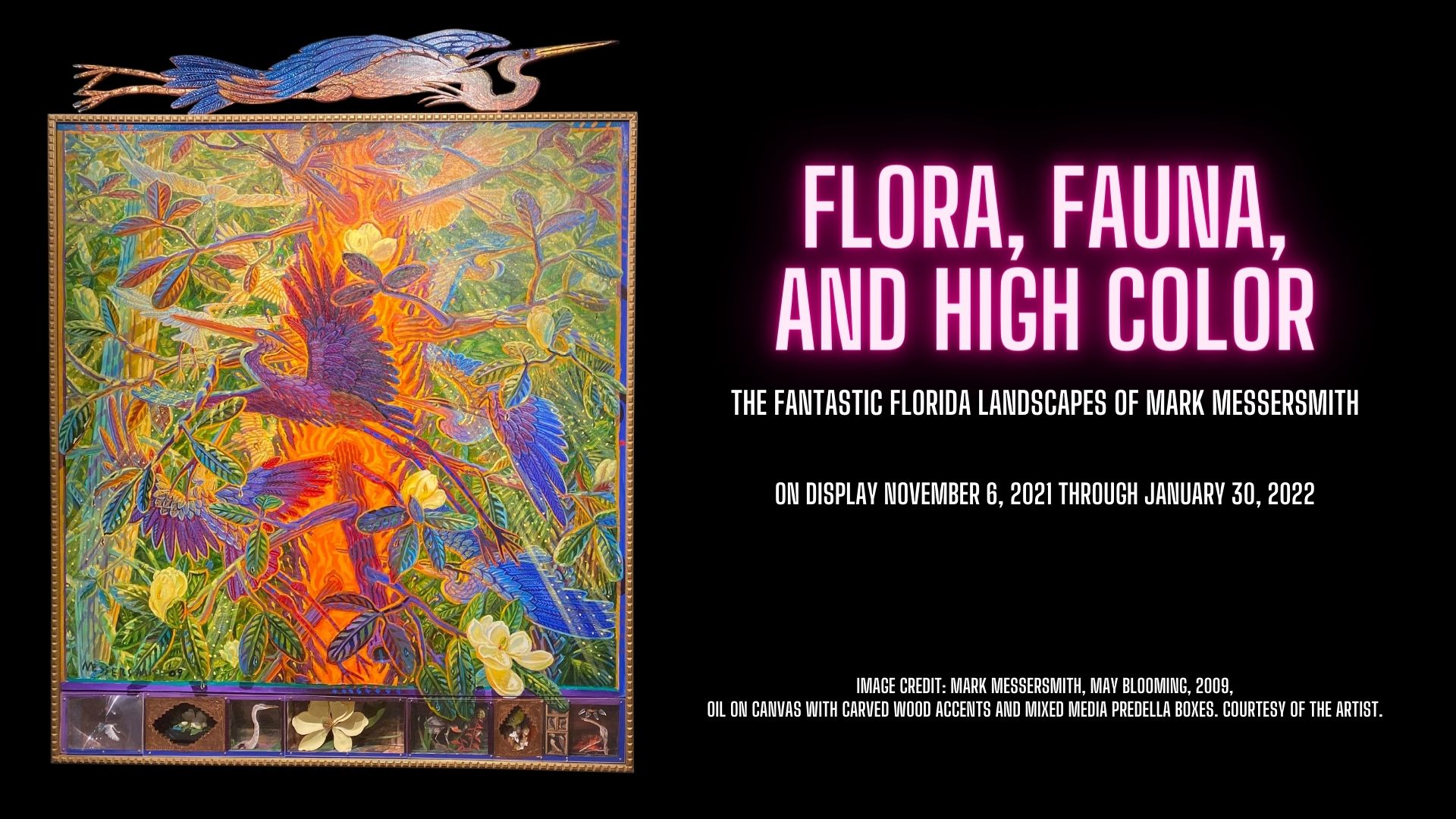 Road Trip: Explore the Flora, Fauna and High Color at MOAS - Flagler ...