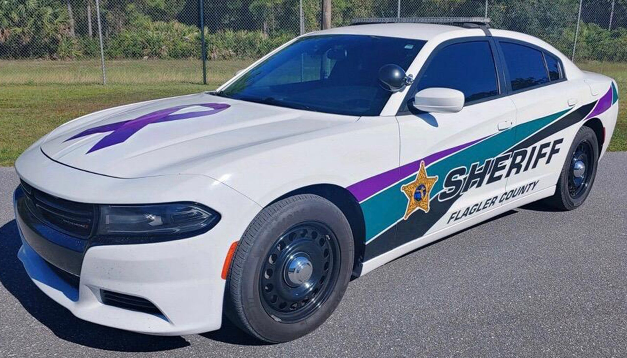 FCSO: Flagler Law Enforcement Teams Up For Domestic Violence Awareness ...